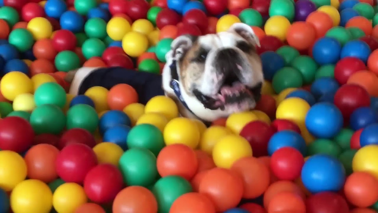 Trip in the EA Sports Ball Pit - YouTube