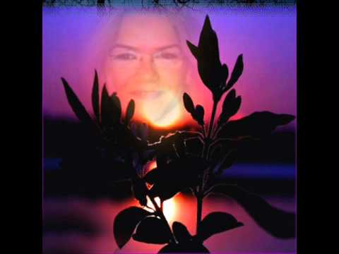 Zeynep YÜKSEL-Fırtınlar İçinde Kaybolup Gitti Adın (MUHAYYER KÜRDÎ)R.G.
