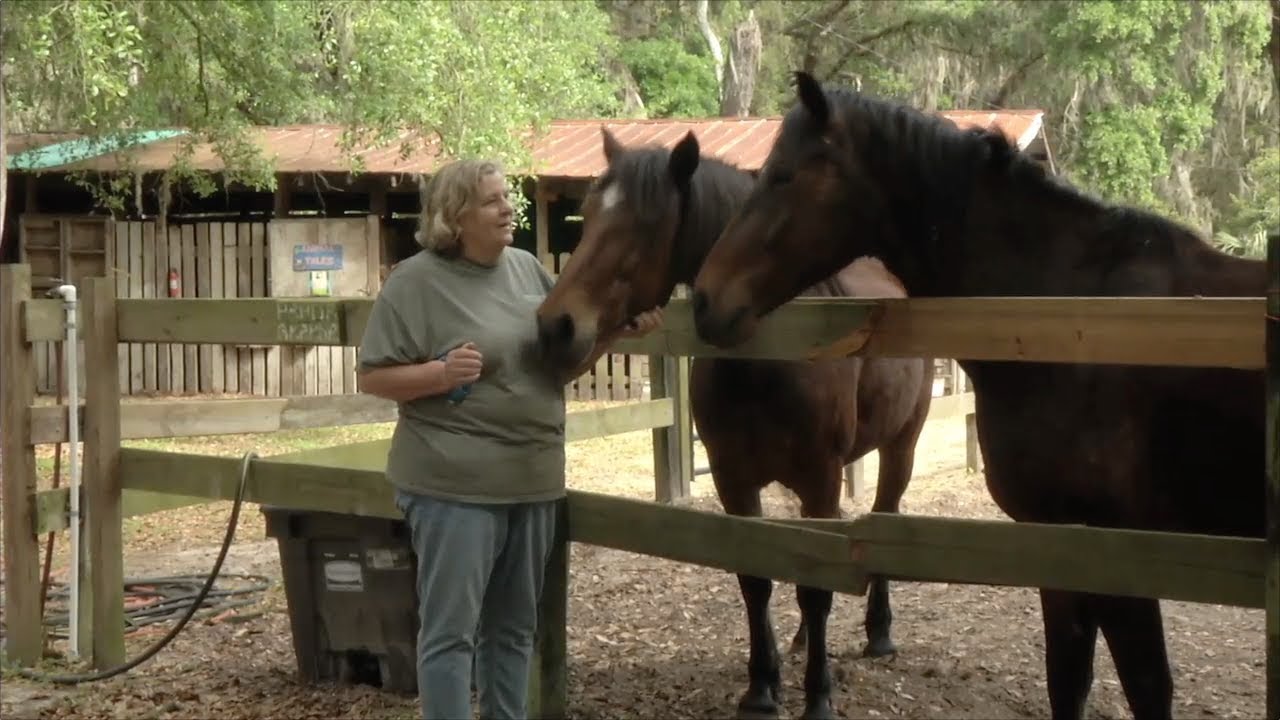 Coastal Georgia Farm Offers Sanctuary For Animals In Need - YouTube