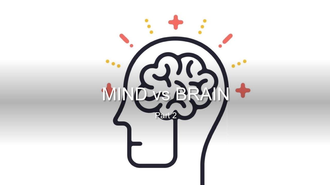 MIND vs BRAIN Part 2 - YouTube