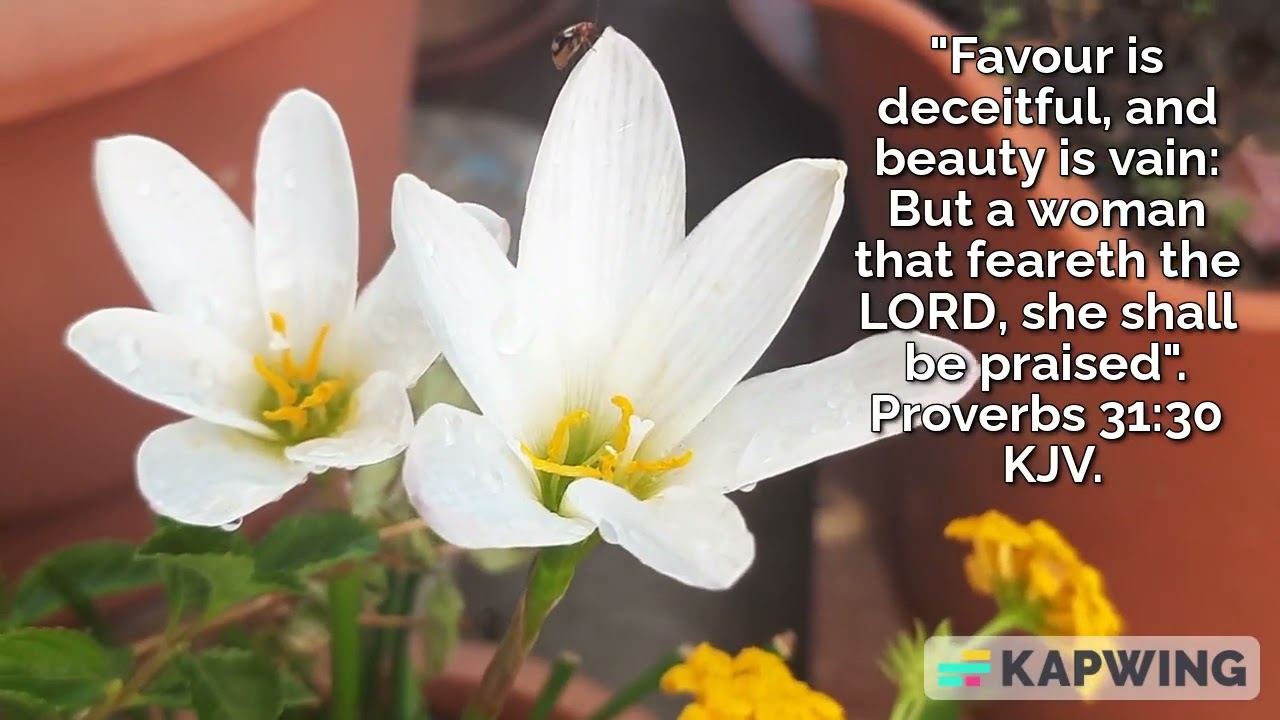 Proverbs 31:30 Kjv