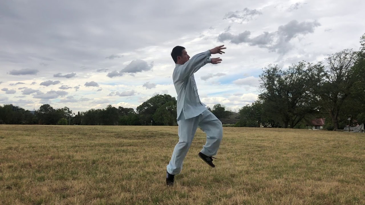 Tai Chi 4 - Individual Tai Chi Movements - YouTube
