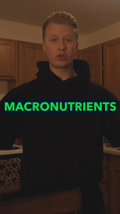 Let’s Talk Macronutrient Timing⏱️ #nutrition #macros #nutritiontips - YouTube
