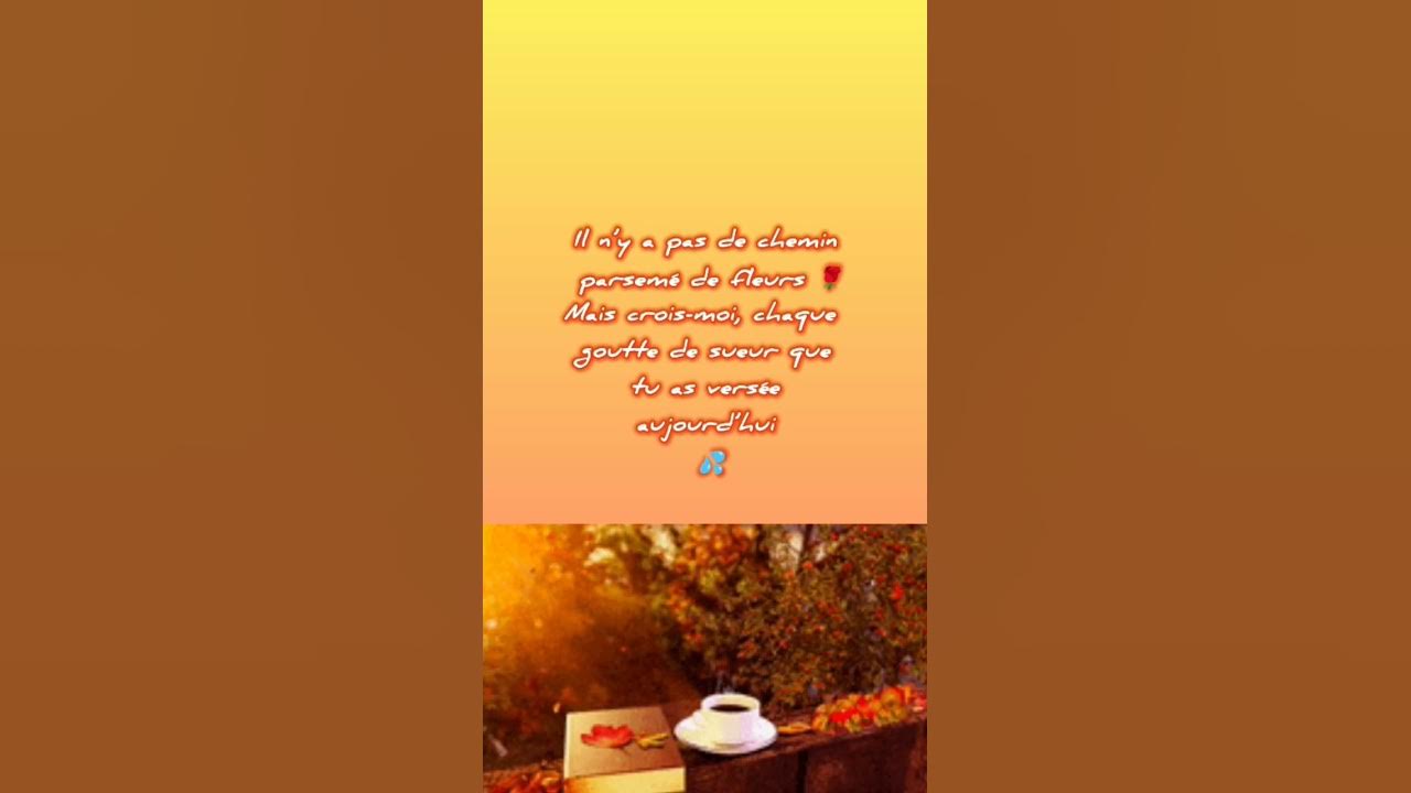 citation du jour #citationdujour #citation #belgique #belgium #france # ...