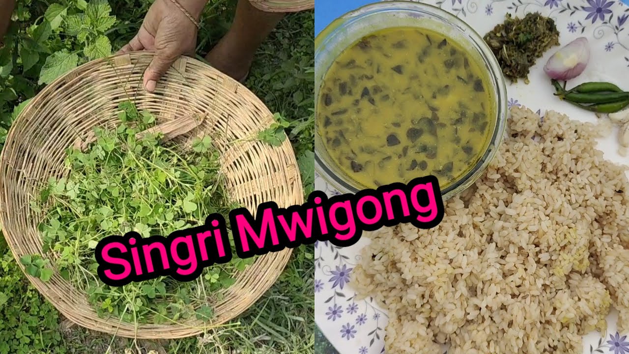 Singri || Ganda Gageb Jwng Singri Mwigong || - YouTube