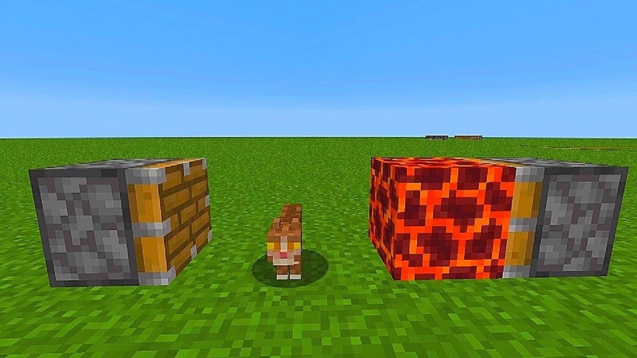 Epic Minecraft Experiment: Cat Merged with Magma! - YouTube