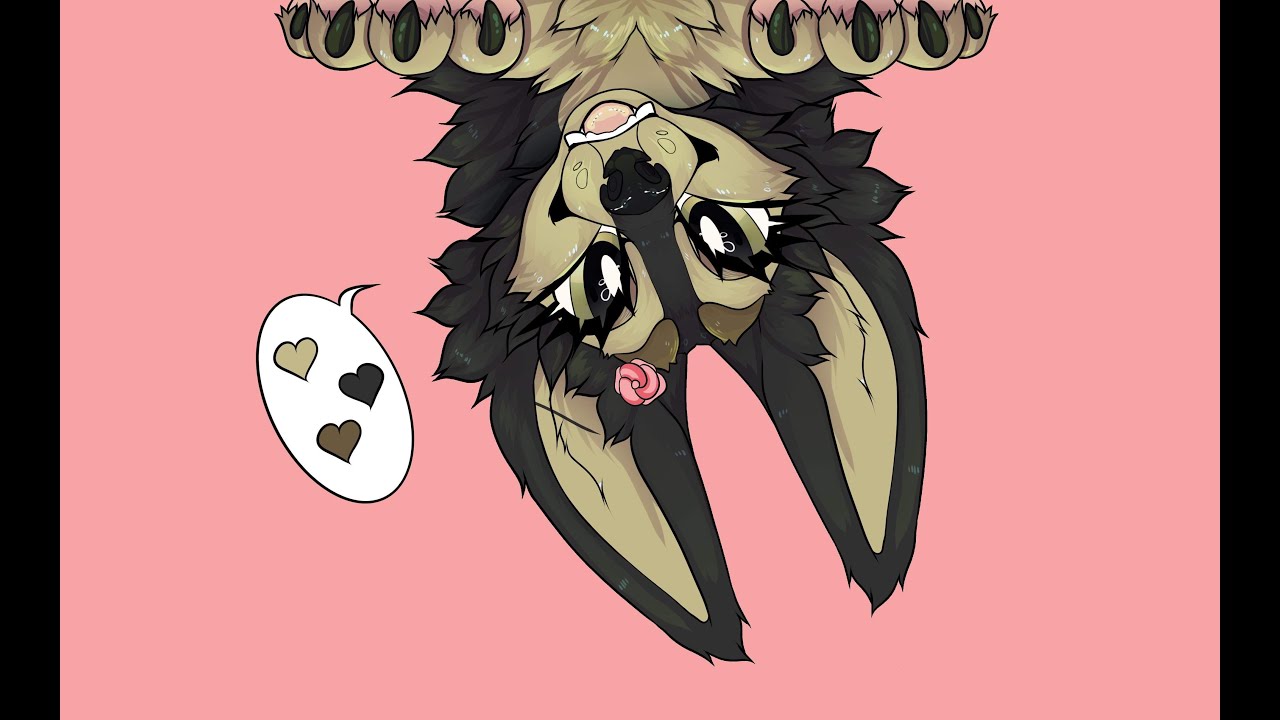 NekoKittySada Gaming Intro - YouTube