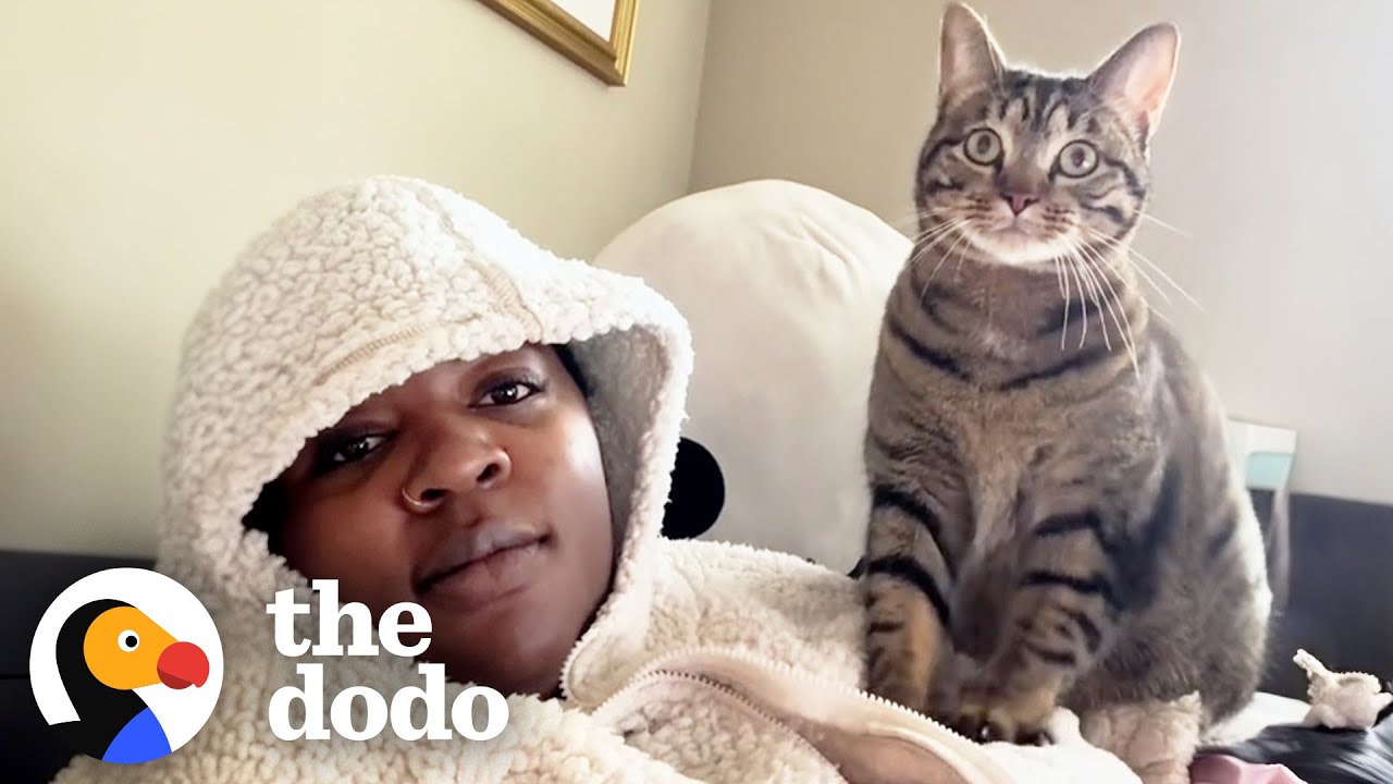 Meet The World's Clingiest Cat | The Dodo - YouTube