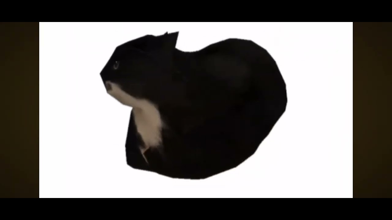 Maxwell spin 1 minute - YouTube