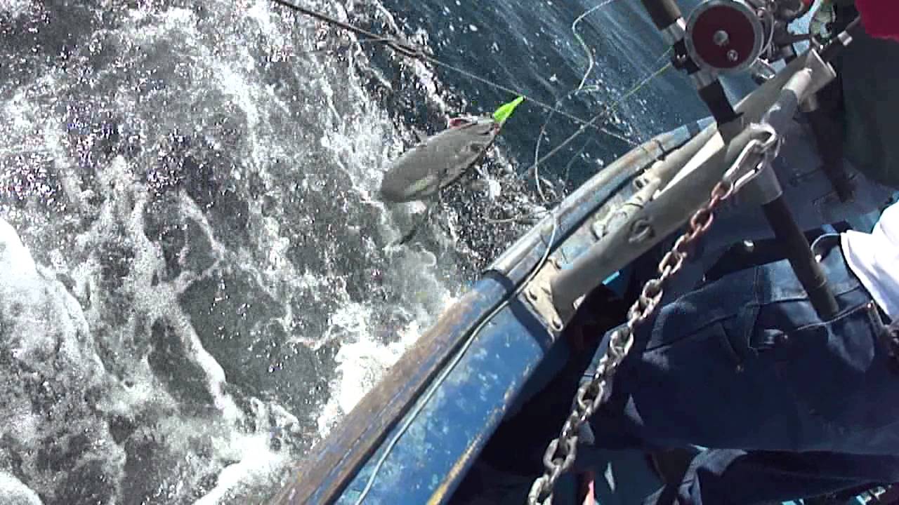 Josh Catching Tuna - YouTube