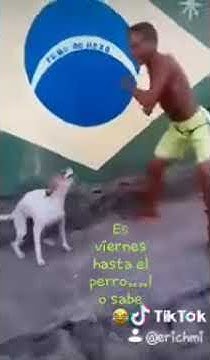 Perro baila con su dueño - YouTube