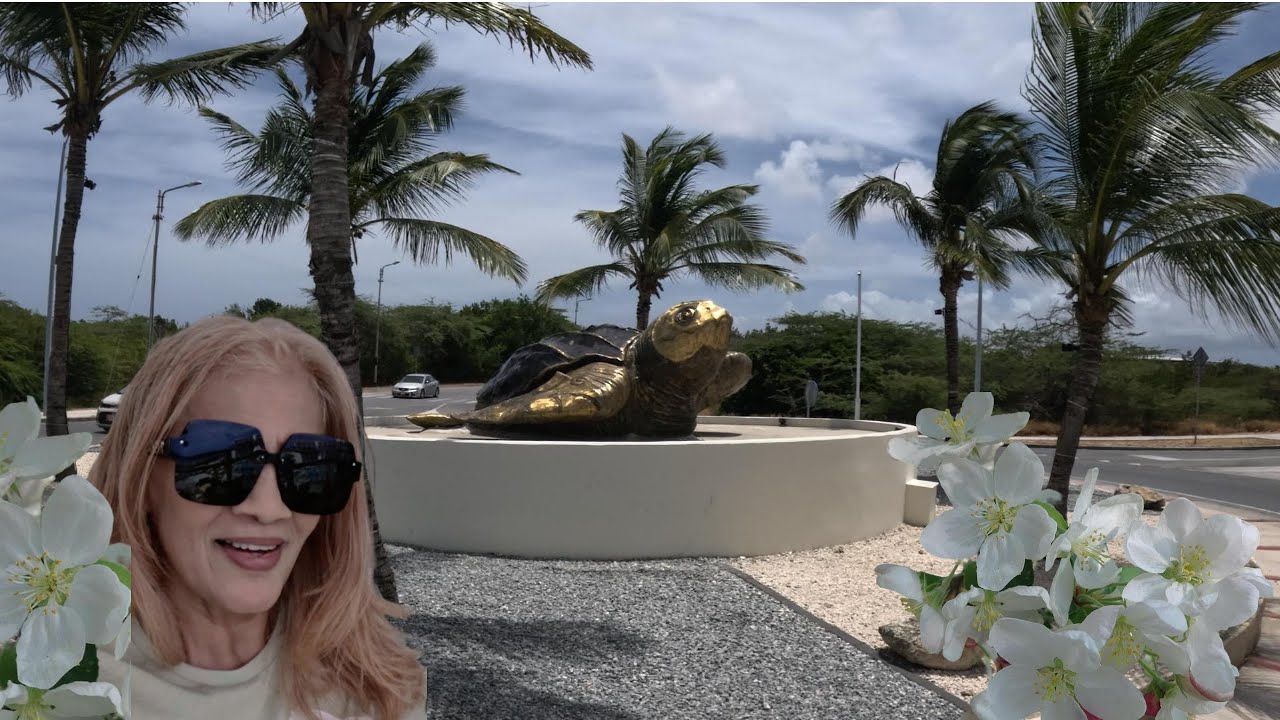 "Last Day in Paradise: Saying Goodbye to Aruba 😢 - YouTube