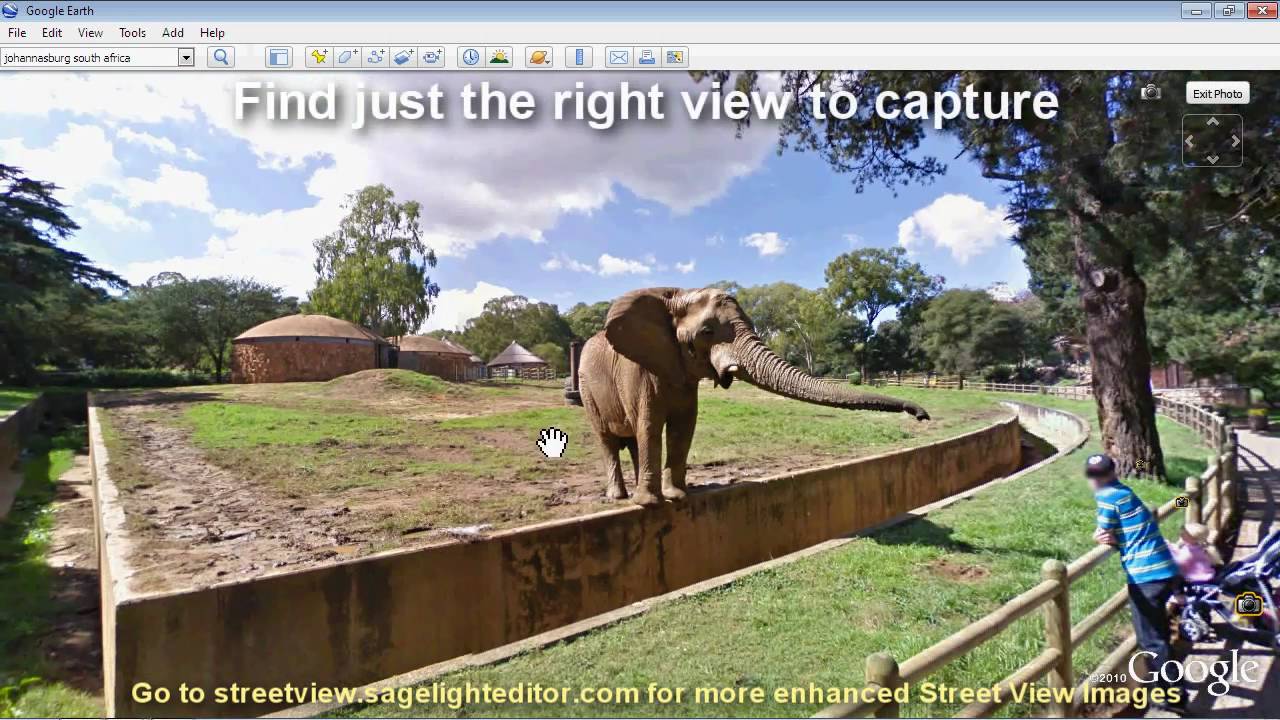 Elephants in Google Earth Street View - YouTube