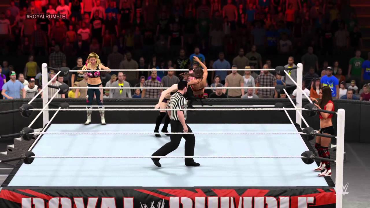 WWE DIVAS TAG TEAM MATCH PAIGE AND NATALYA VS THE BELLA TWINS FULL ...
