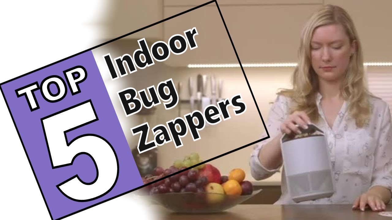 💜The Best Indoor Bug Zappers Of 2021 - Top 5 Review - YouTube