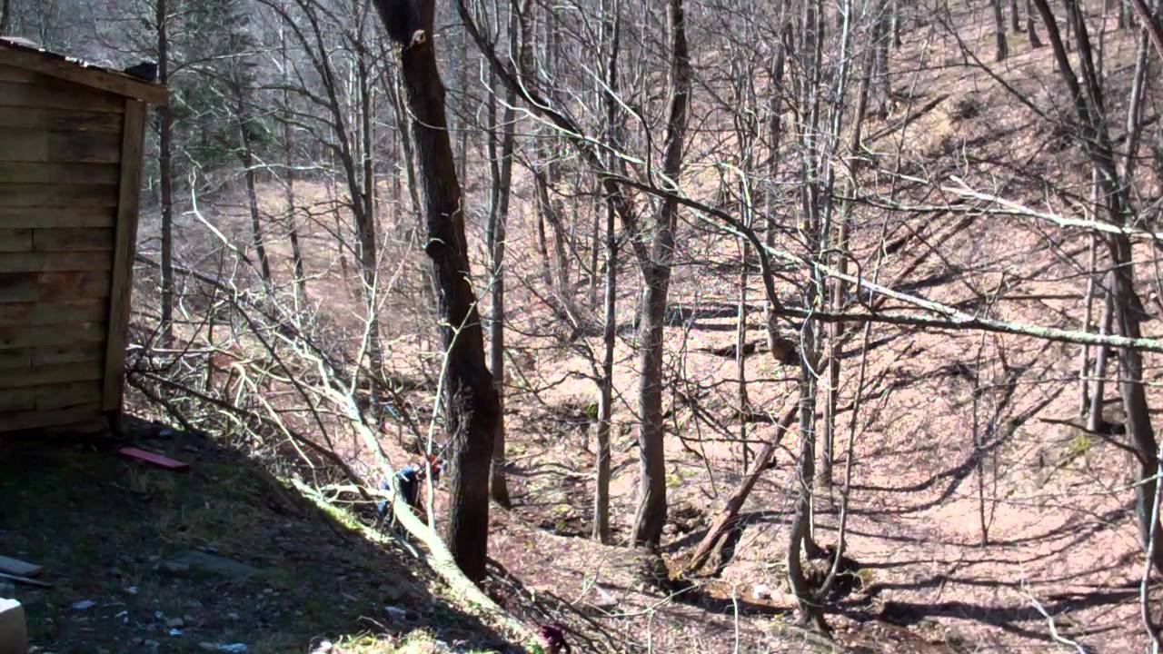 Trees getting cut down - YouTube