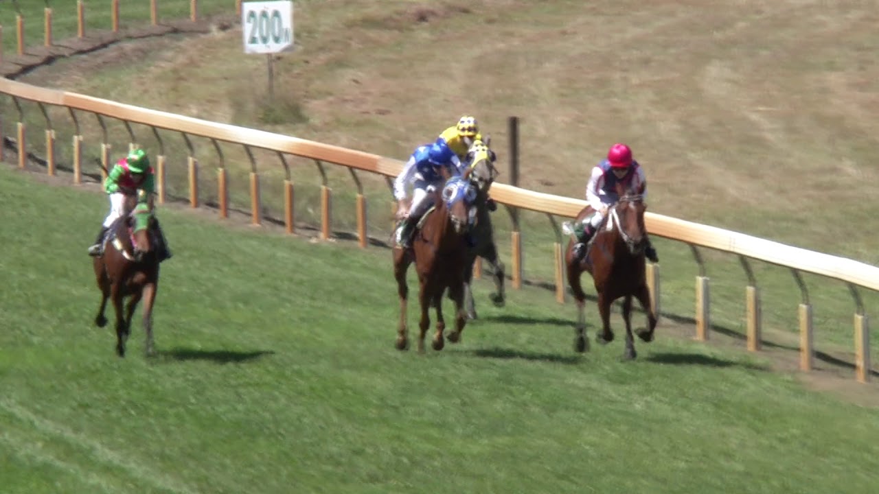 Race 1 Dederang 14th March 2020 - YouTube