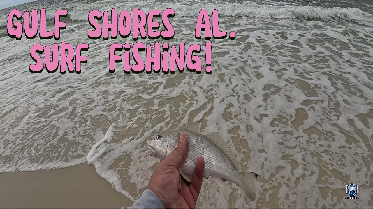 Caught fish in the surf at Gulf Shores Alabama! - YouTube