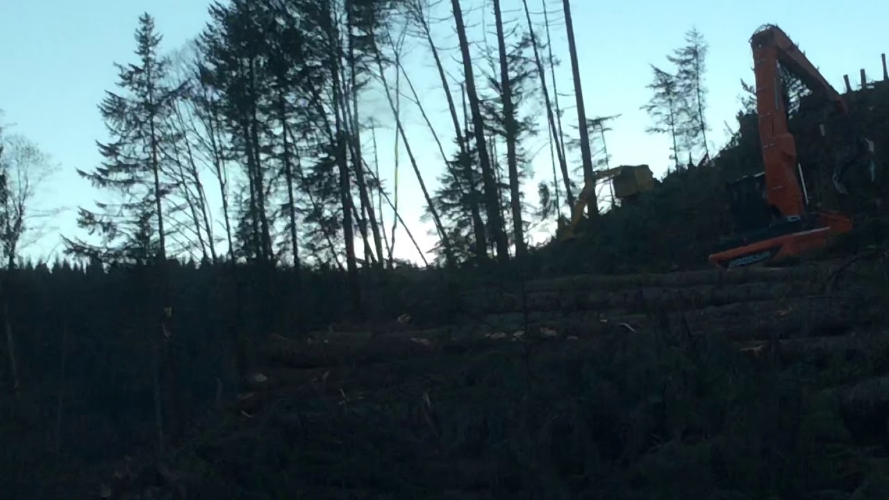Hill side logging part 2 - YouTube
