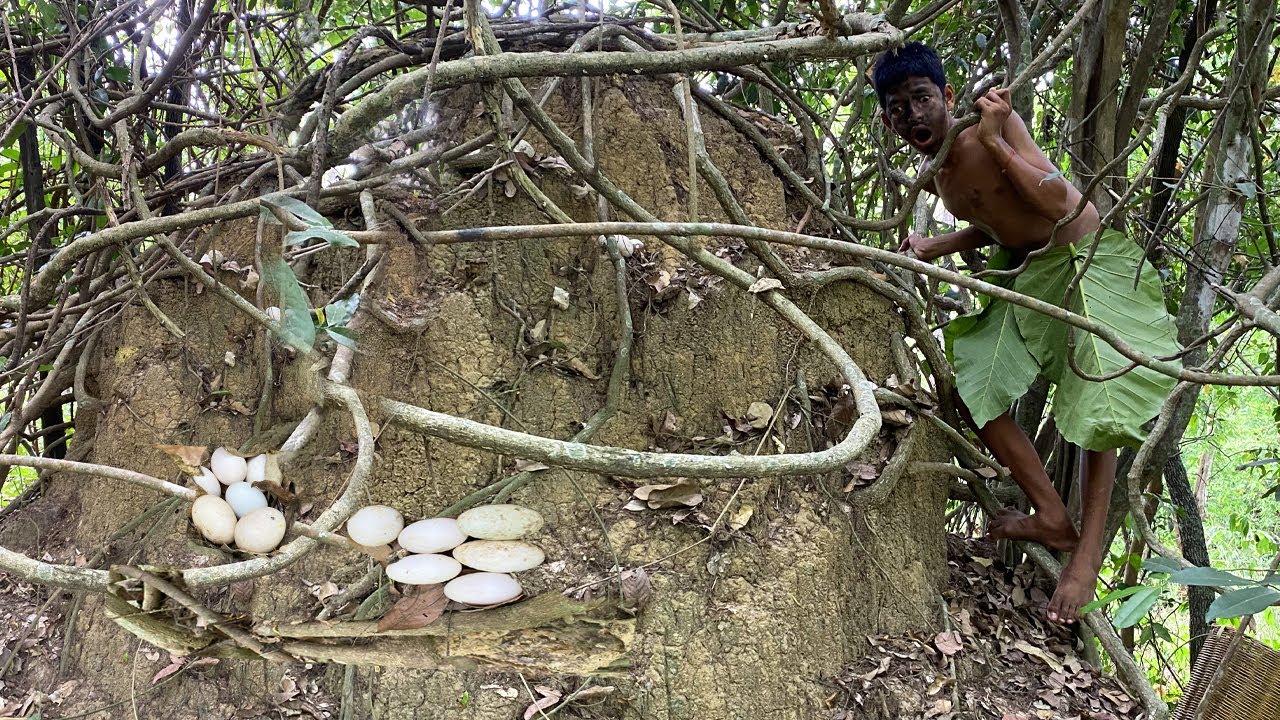 OH WOW! OMG! Jungle boy picks strange eggs on the strange hill Amazing ...