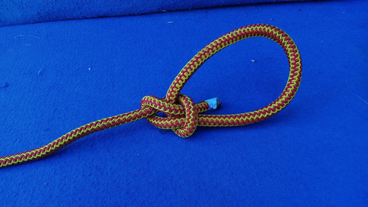 How to tie queen of knot (apline butterfly knots)#video #viralvideo ...