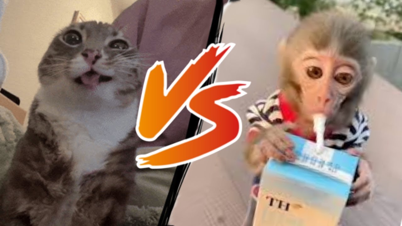 CALEB v. CALVIN: Battle of the Boykissers - YouTube