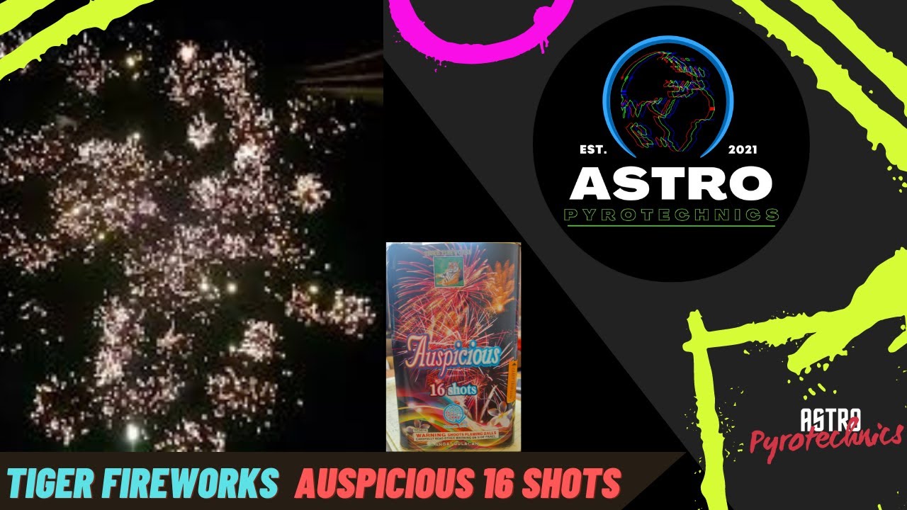 TIGER FIREWORKS l AUSPICIOUS 16 SHOTS LARGE CALIBER l NEW YEAR'S EVE ...