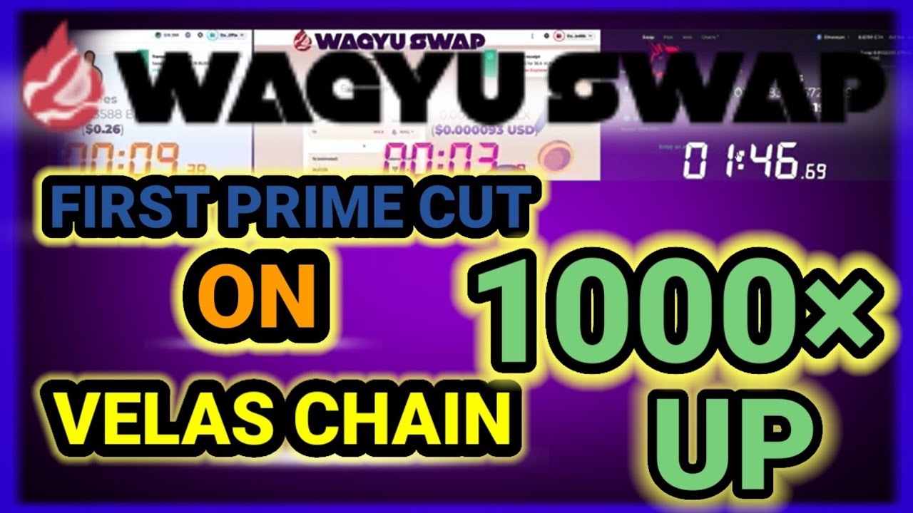 WAGYUSWAP | FIRST & MAIN DEX IN VELAS CHAIN | DONT MISS THE ROCKETSHIP | TAGALOG - YouTube