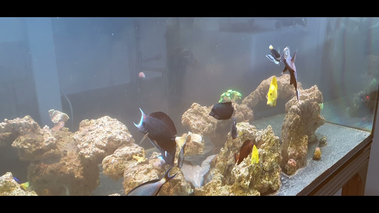 Tang gang nearly complete - YouTube