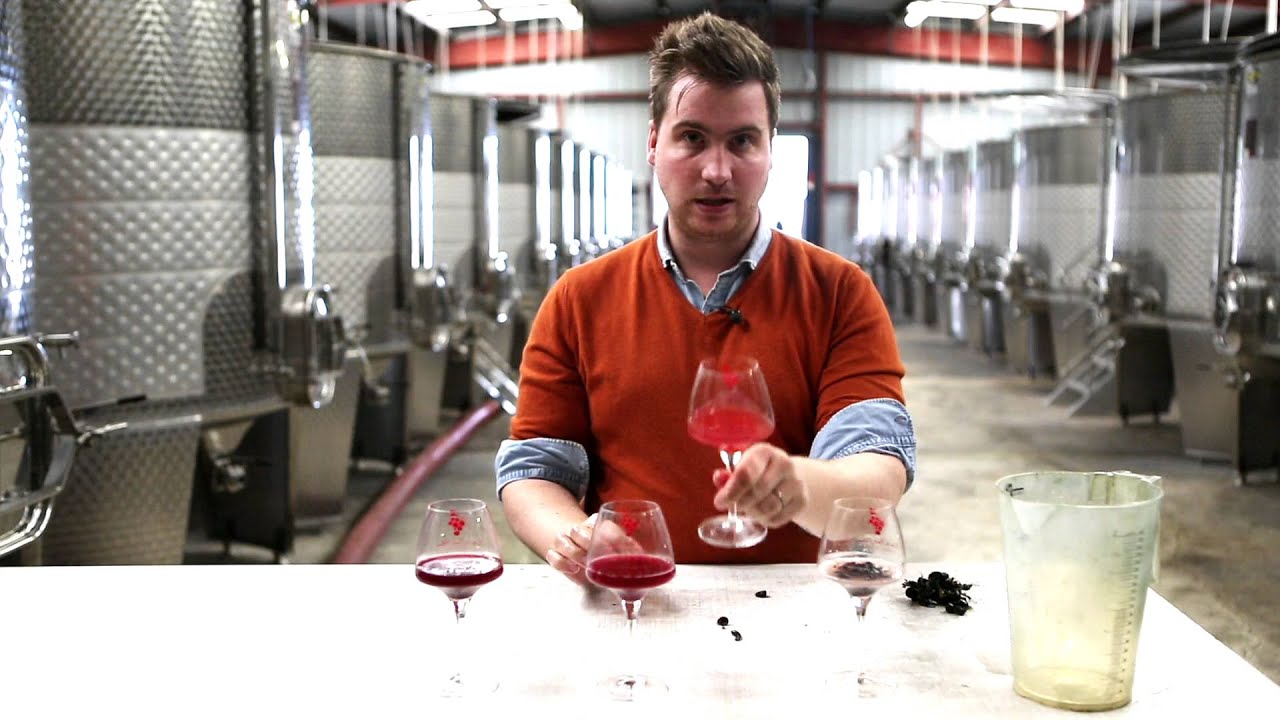 Waar komt de kleur van rode wijn vandaan? - Colruyt Laagste Prijzen ...