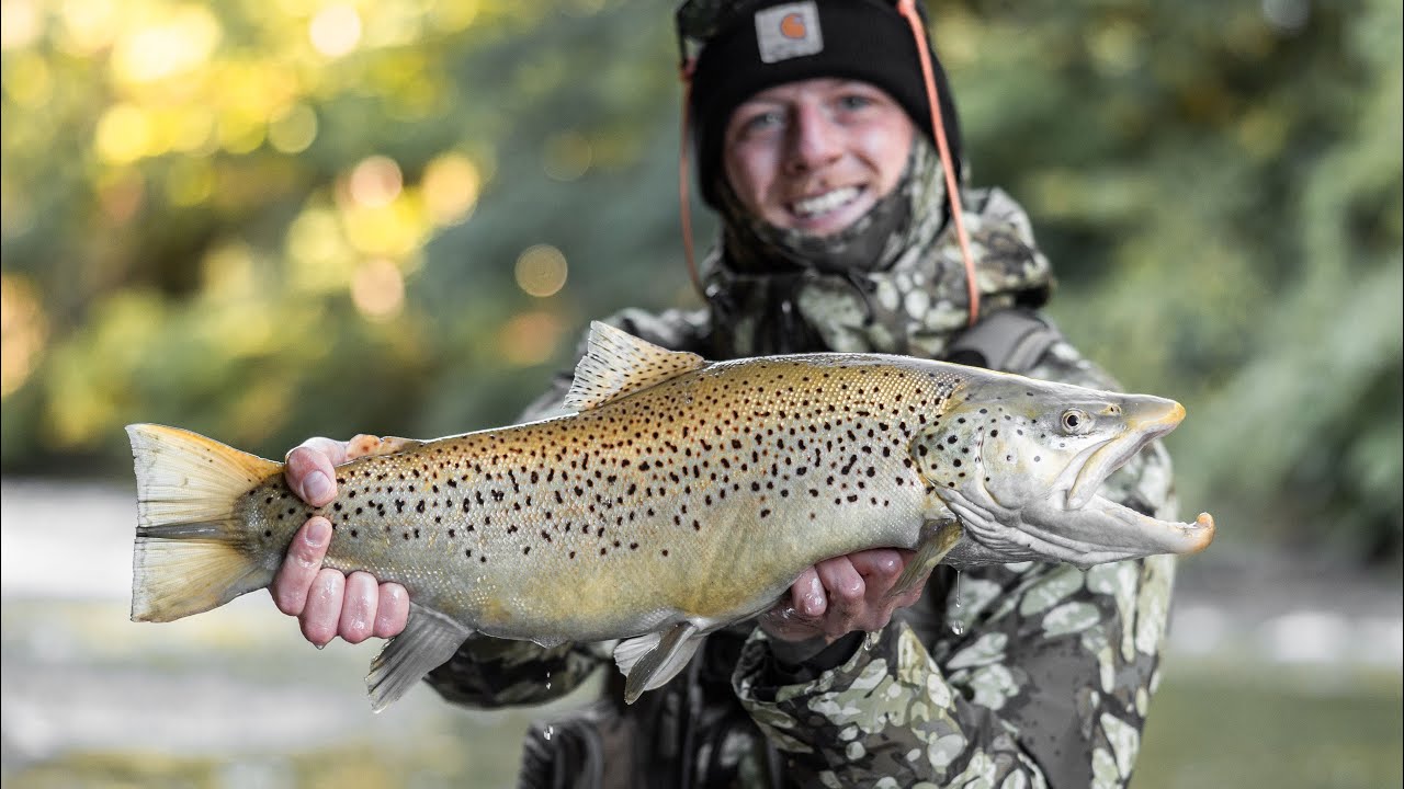 Monster Lake Erie Brown Trout!! - YouTube