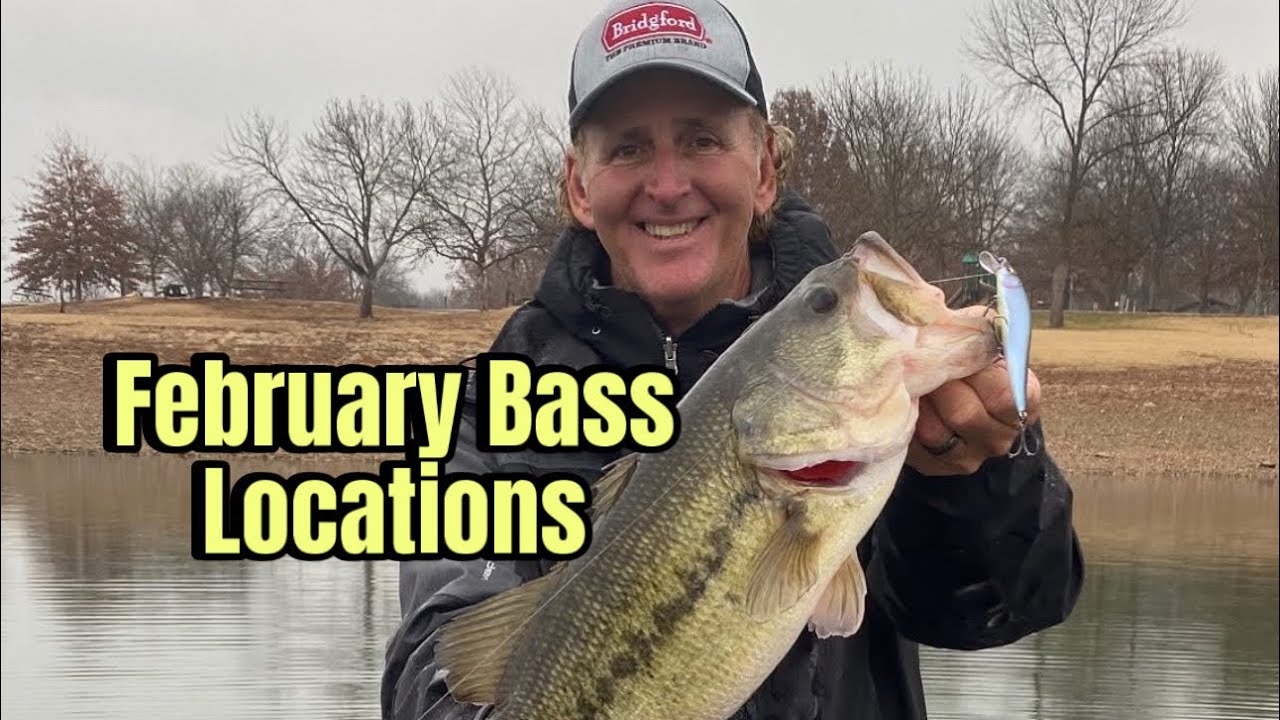 Where To Find Bass In February In Your Favorite Lake… - YouTube