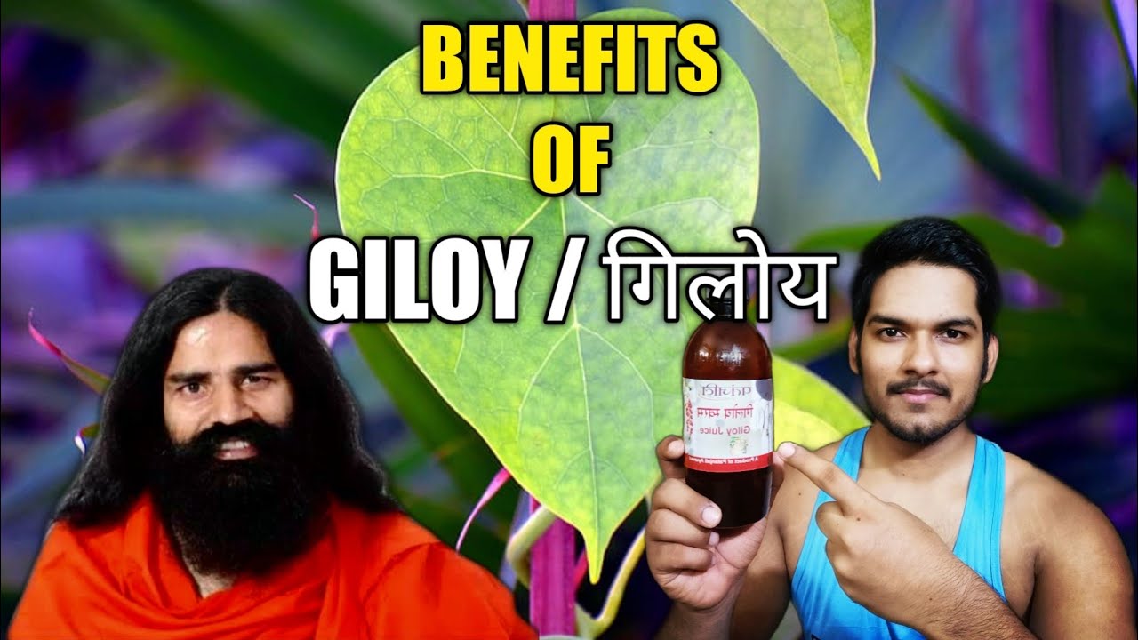 गिलोय के फायदे | Benefits Of Giloy In Hindi | Giloy Juice Patanjali ...