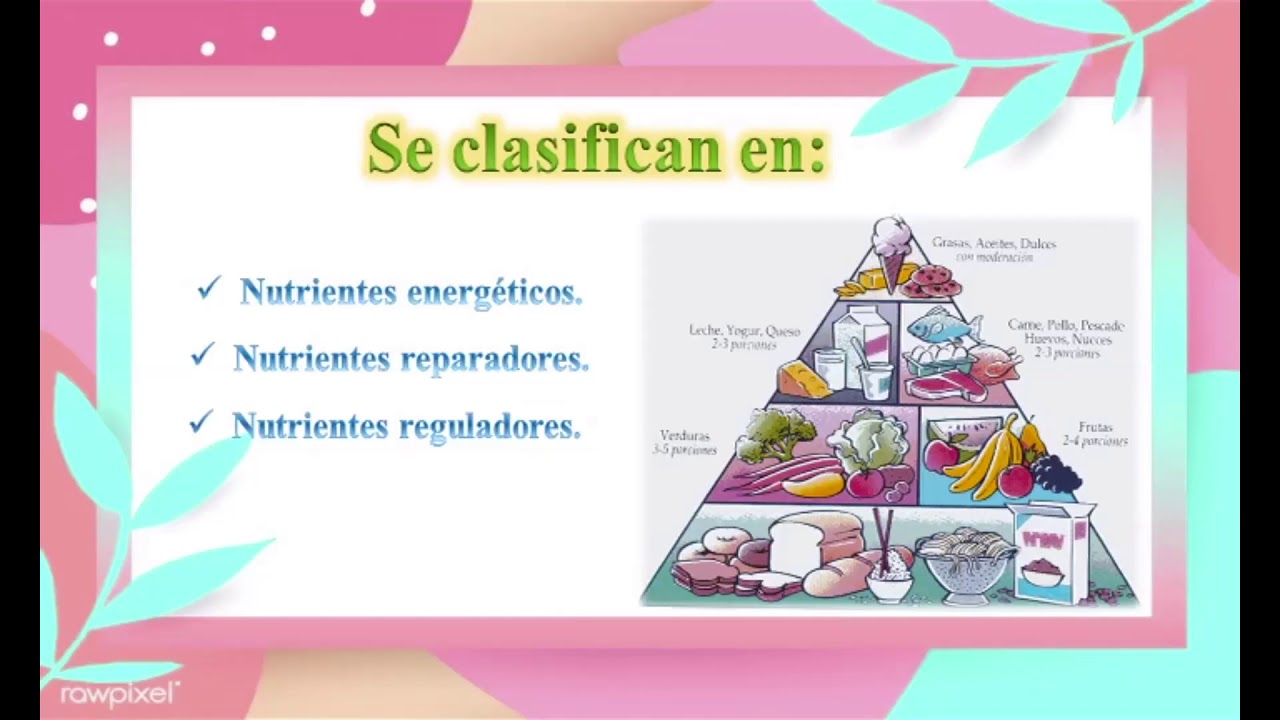 La alimentación variada y balanceada - YouTube