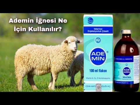 Ademin İlaç Nasıl Kullanılır ? | Ademin İğnesi Ne İşe Yarar?