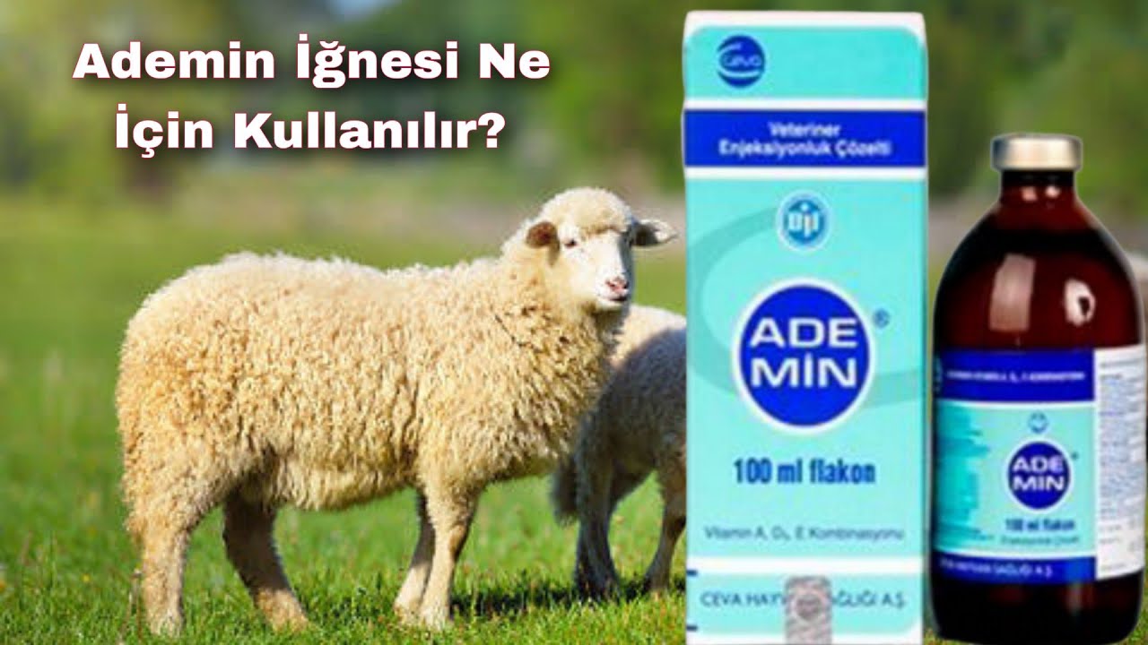 Ademin İlaç Nasıl Kullanılır ? | Ademin İğnesi Ne İşe Yarar? - YouTube