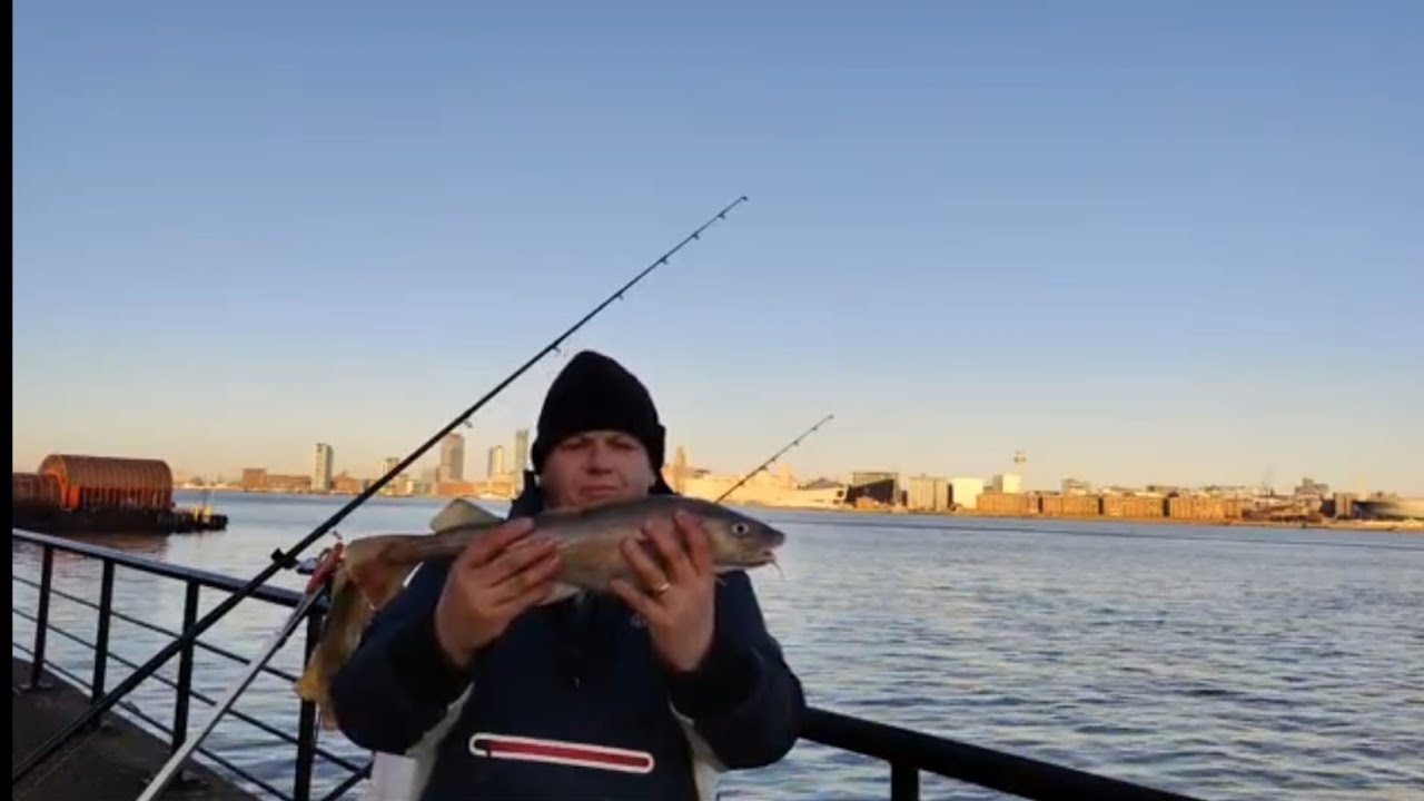 Sea Fishing River Mersey Cod Corner Hw 1530 - YouTube