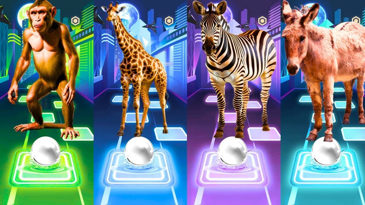 Funny Monkey VS Funny Giraffe VS Funny Zebra VS Funny Donkey | Funny ...