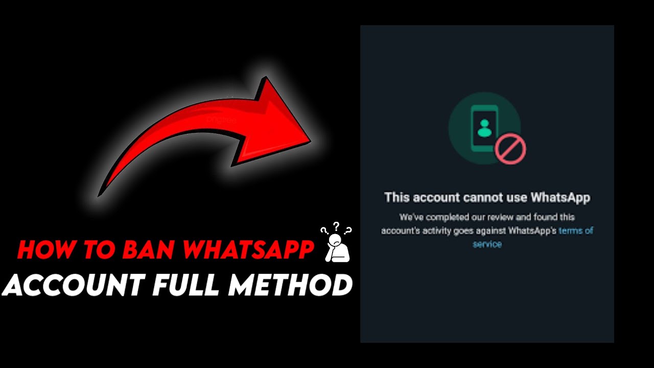 How to ban whatsapp account full method in this video 🙀 #instagram # ...