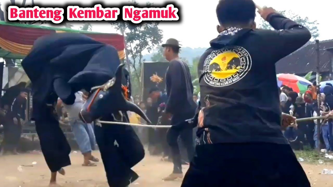 Bantengan pacet ngamuk Banteng Kembar - YouTube