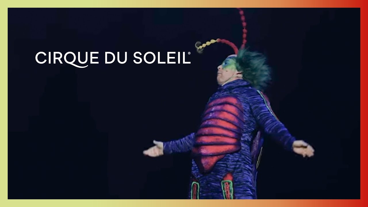 OVO Artist Makeup Transformation from Human to Insect | Cirque du ...