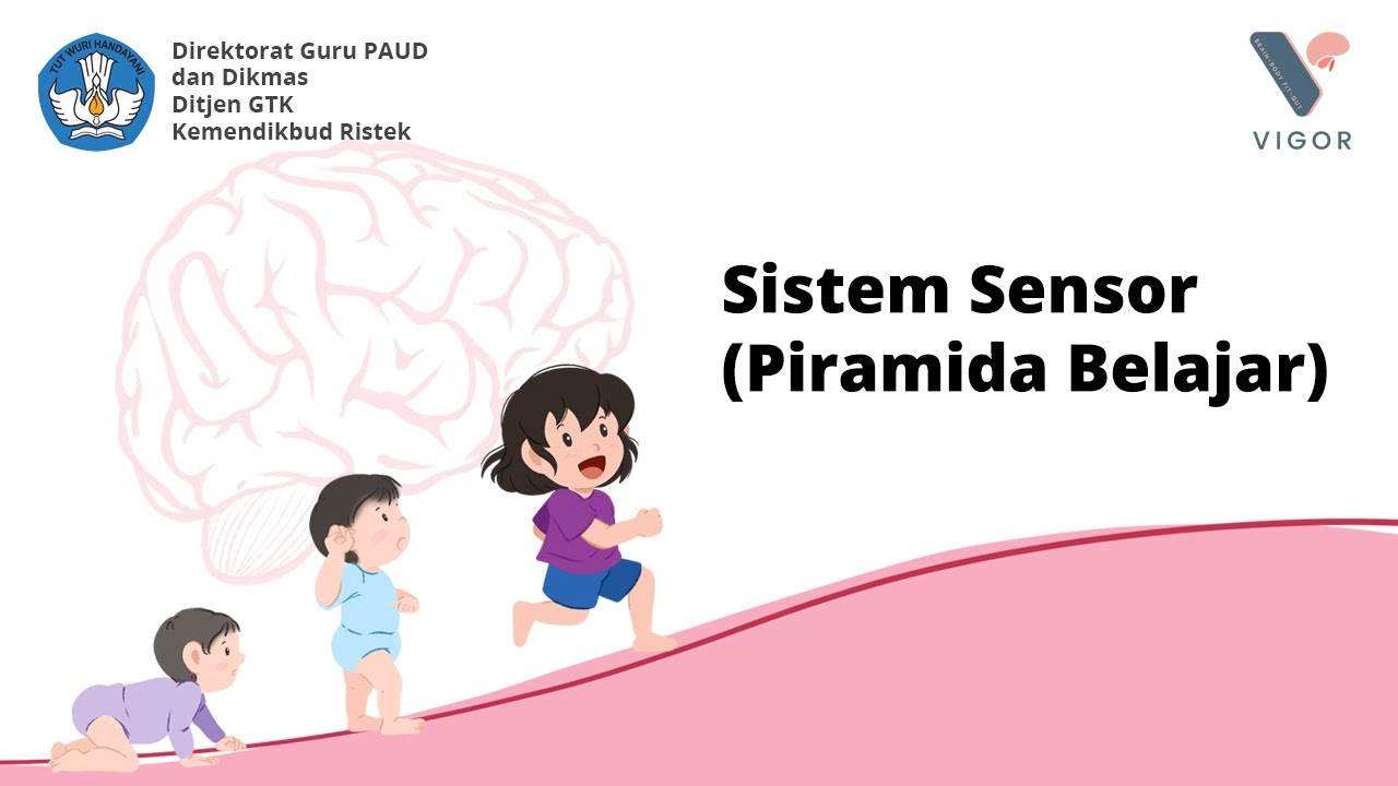 Sistem Sensor (Piramida Belajar) - YouTube