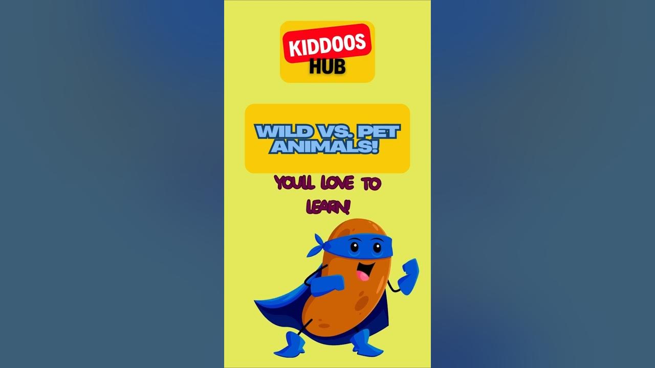 Wild vs. Pet Animals! | Fun Learning for Kids! - YouTube