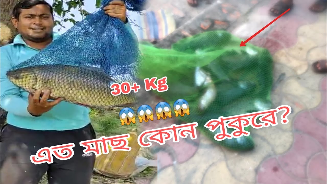 Ranaghat Tehotto Nodi Theke Uthlo Bisal Rui + Dhopa Pukurer Monday ...