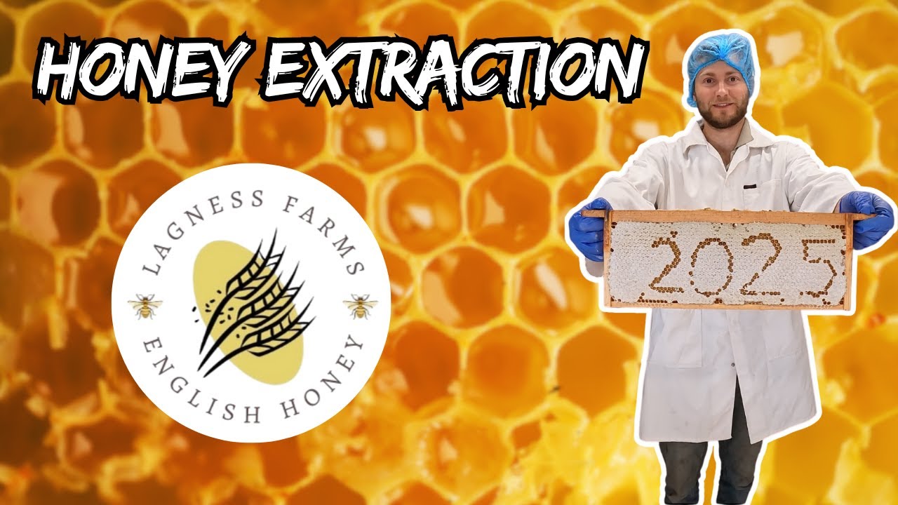 Spring Honey Harvest - YouTube