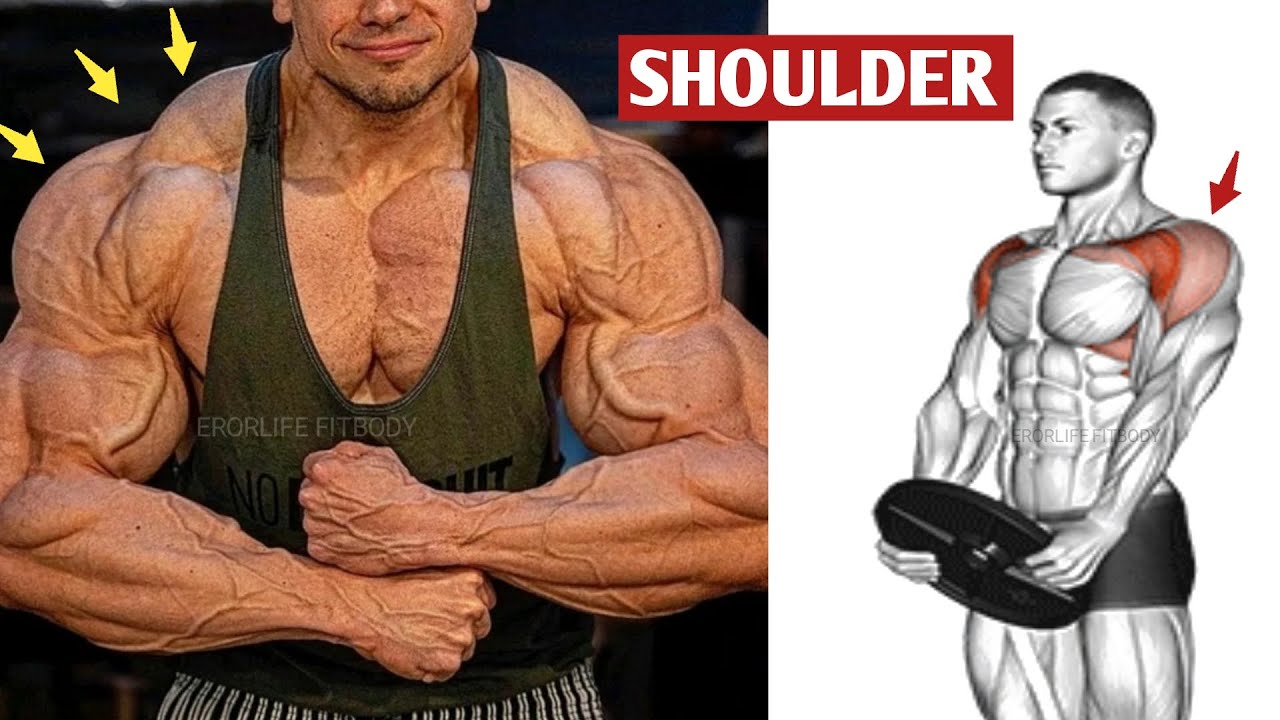 6 Muscle Building Shoulder Workout | ERORLIFE FITBODY - YouTube