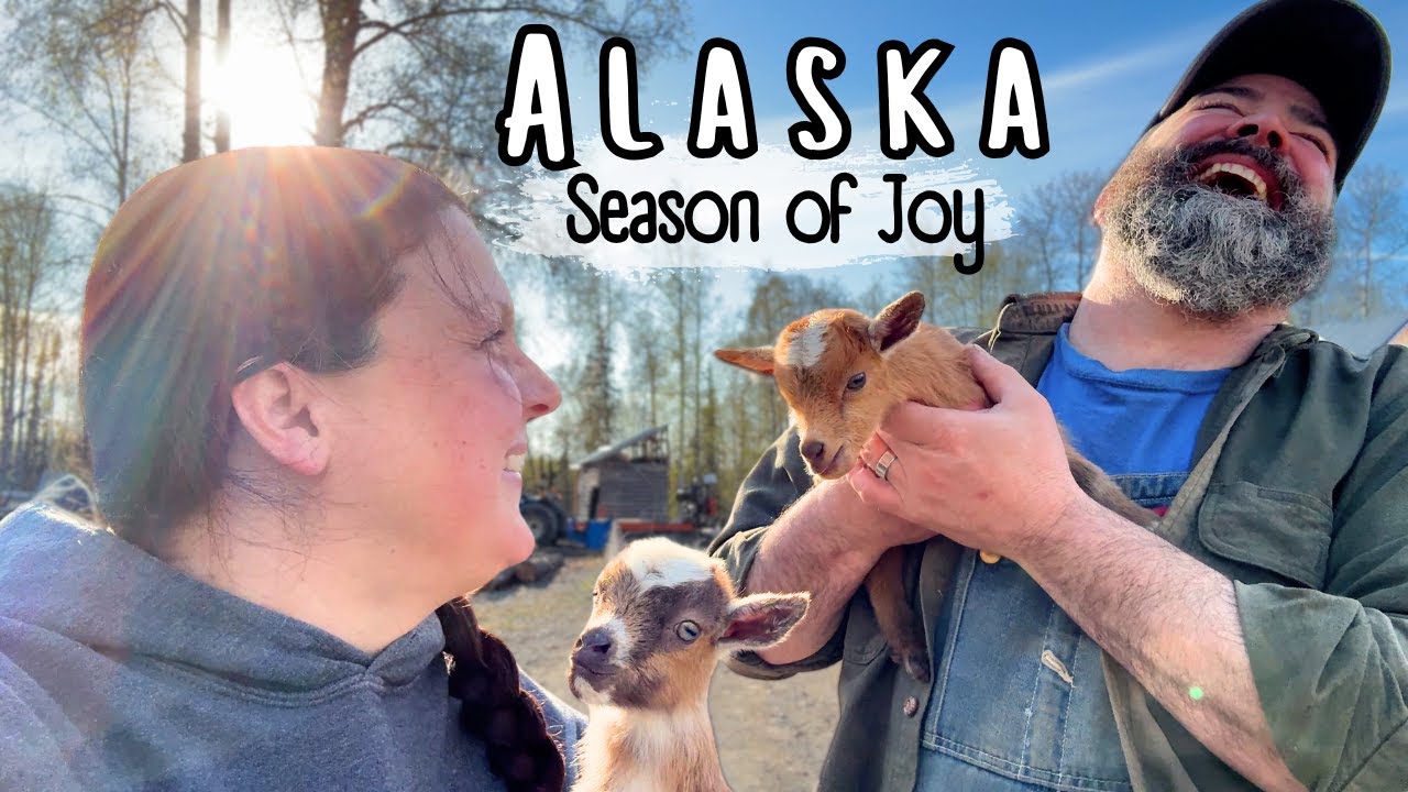 Spring in Alaska - Very Welcome (but very messy) Change After the Long ...