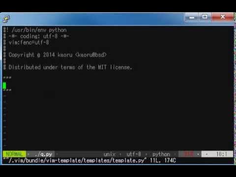 quickrun.vim + vimprocで非同期実行 - YouTube
