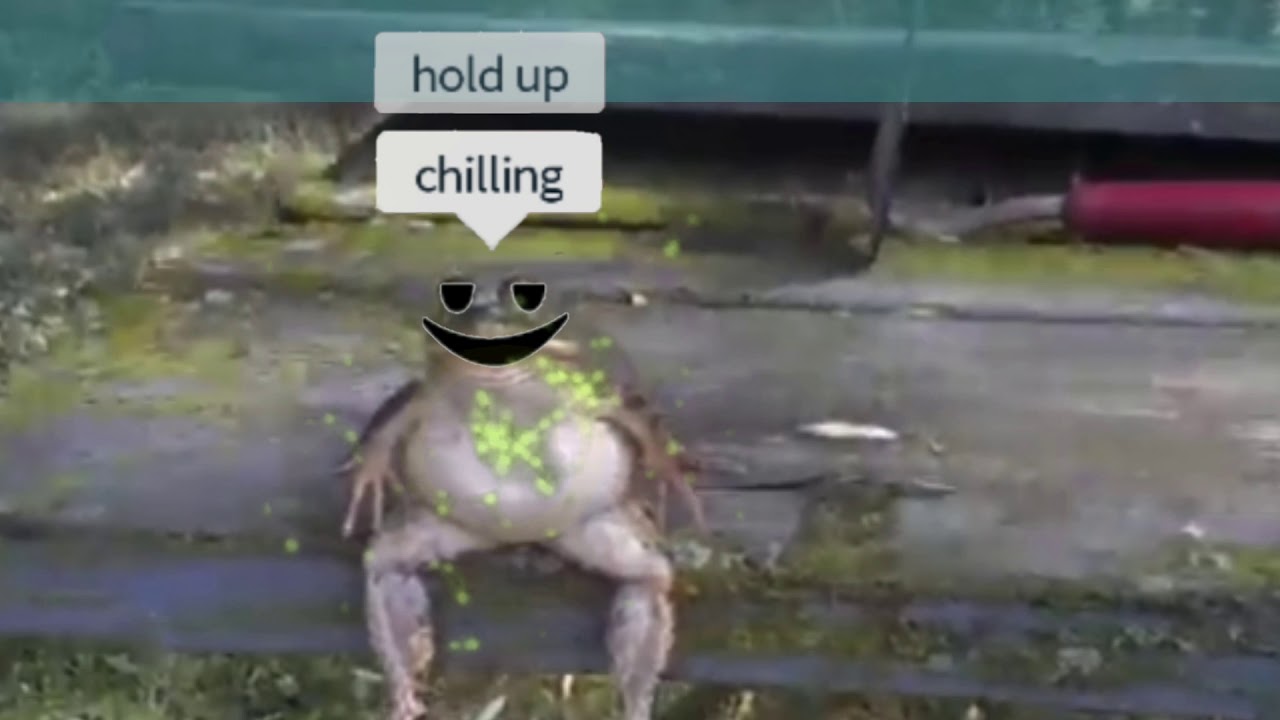 chilling frog - YouTube