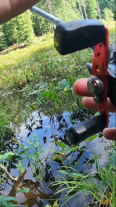 ***Blood Warning*** I think I learned my lesson here - YouTube